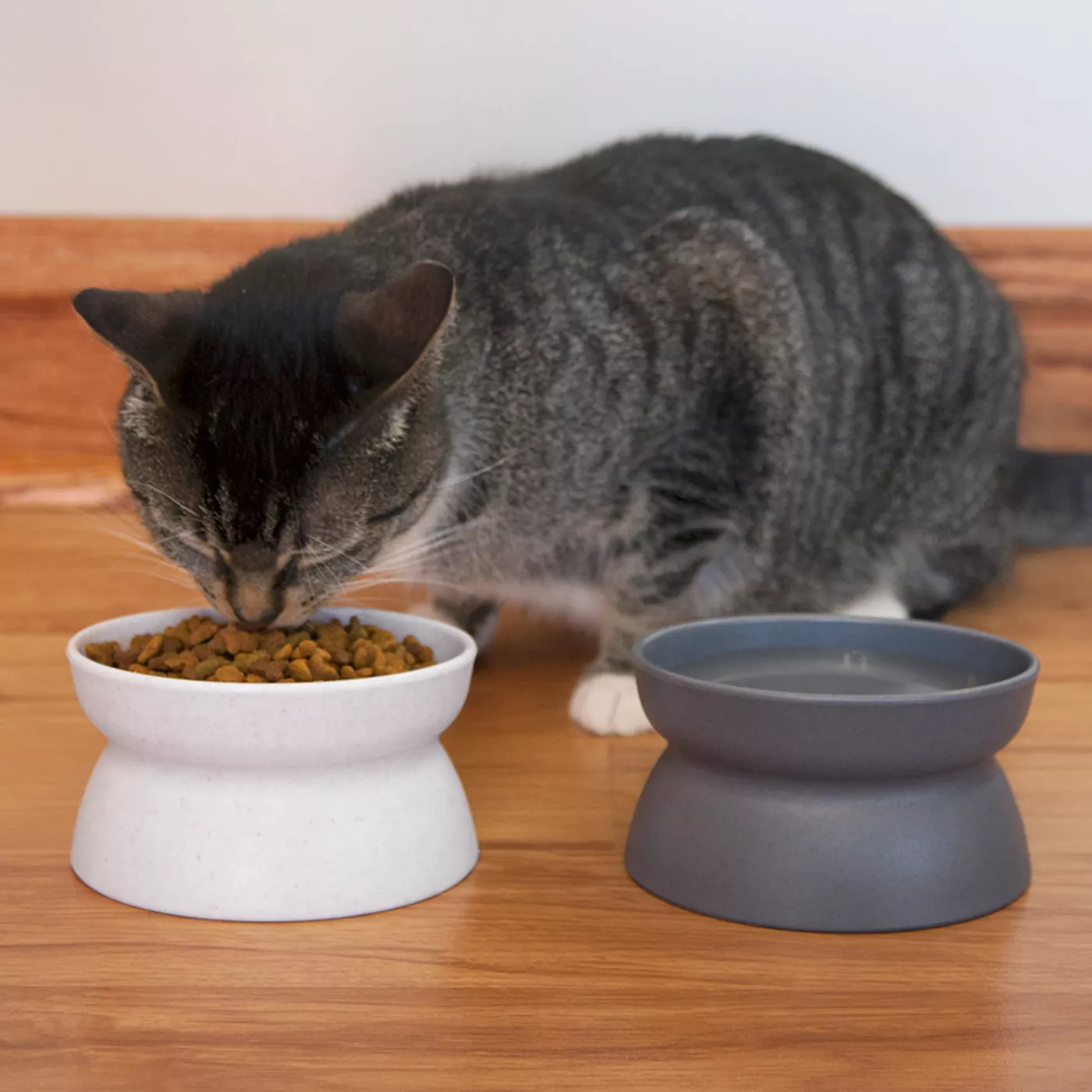 Sport Pet Elevated & Slanted Cat Bowl Set, 2 Count
