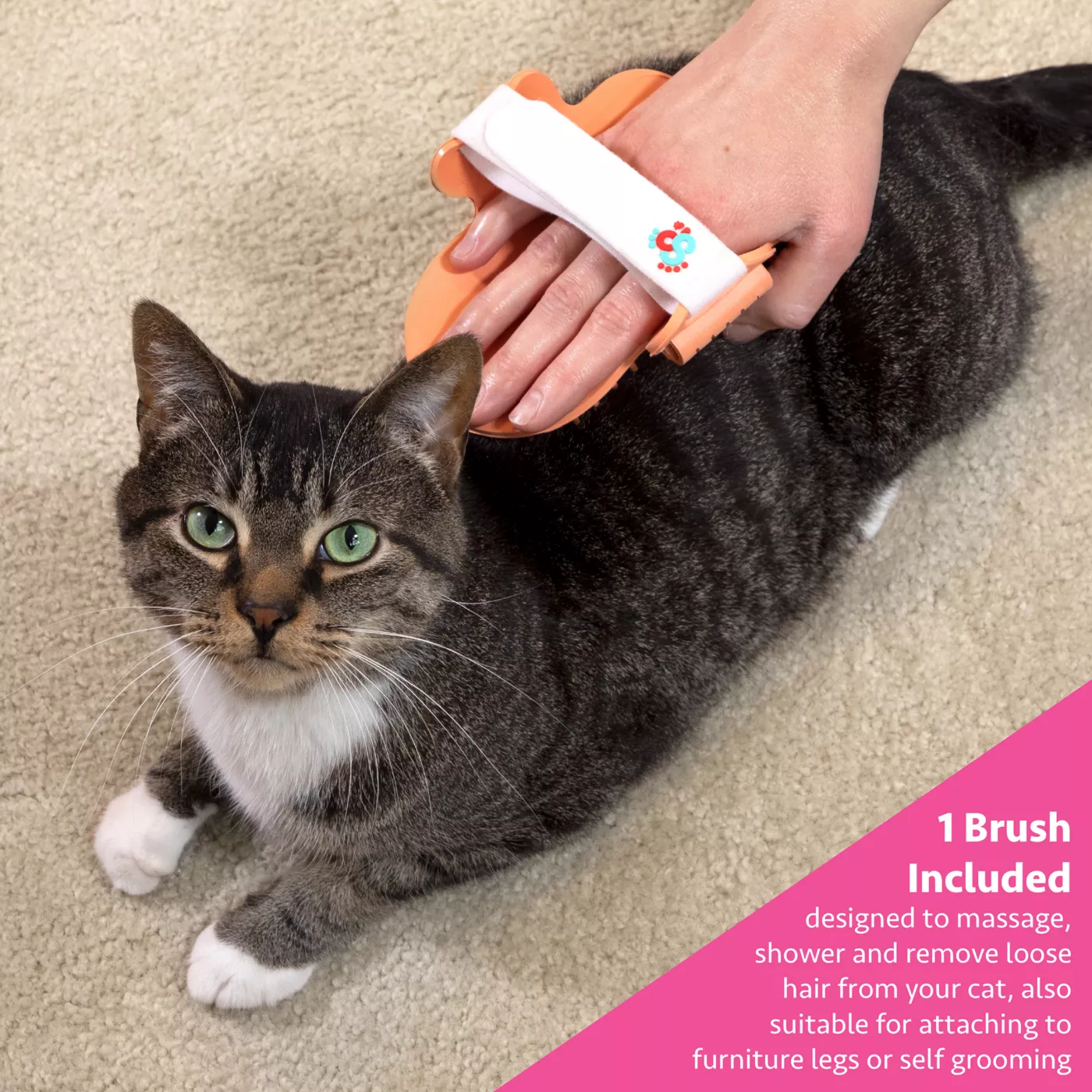 Kitty City Deluxe Toy Box, Toys for Cats