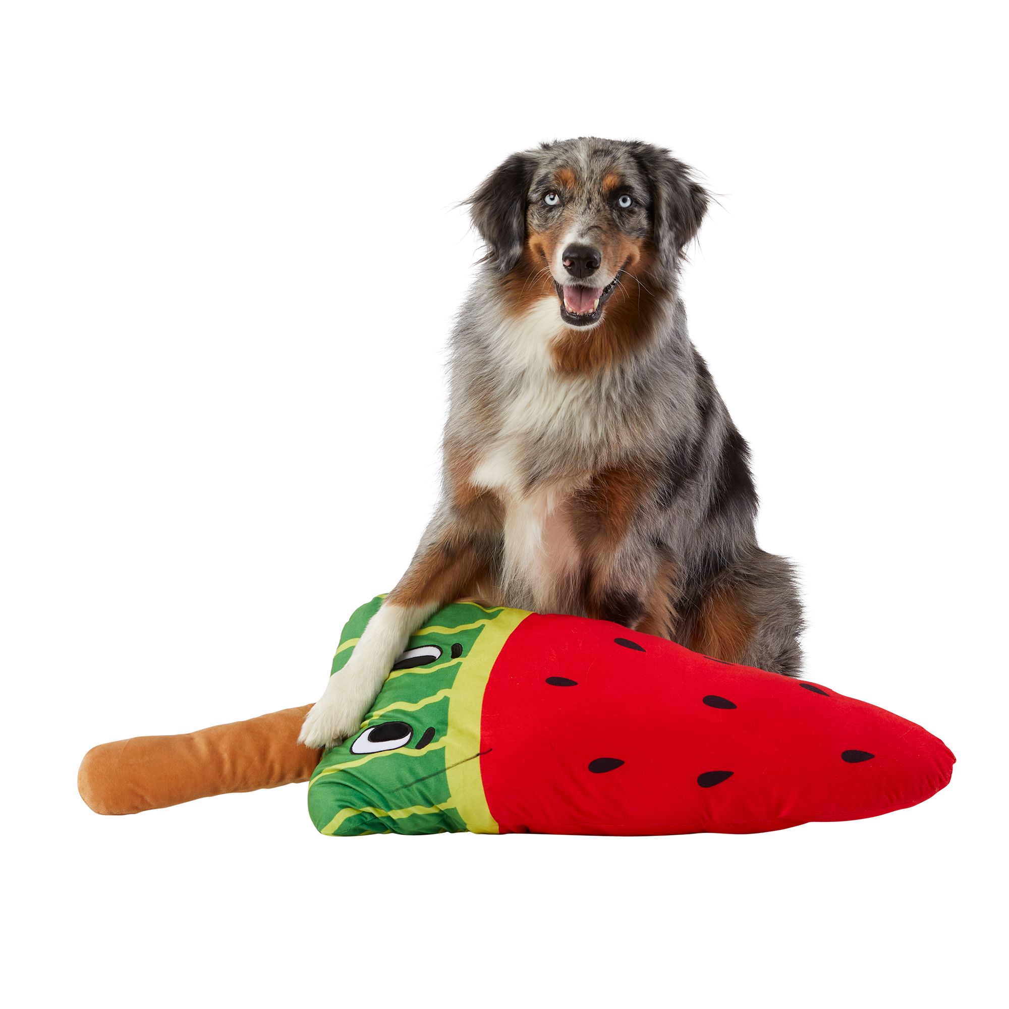 The Best Dog Toys | PetSmart
