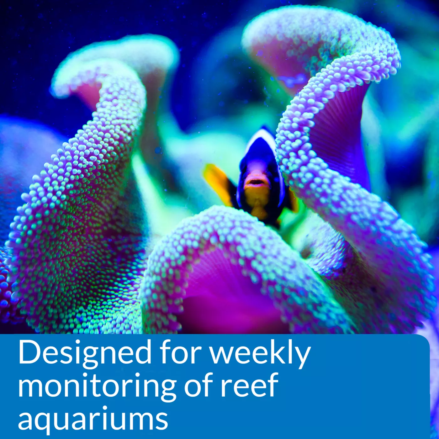API® Reef Aquarium Water Test Kit