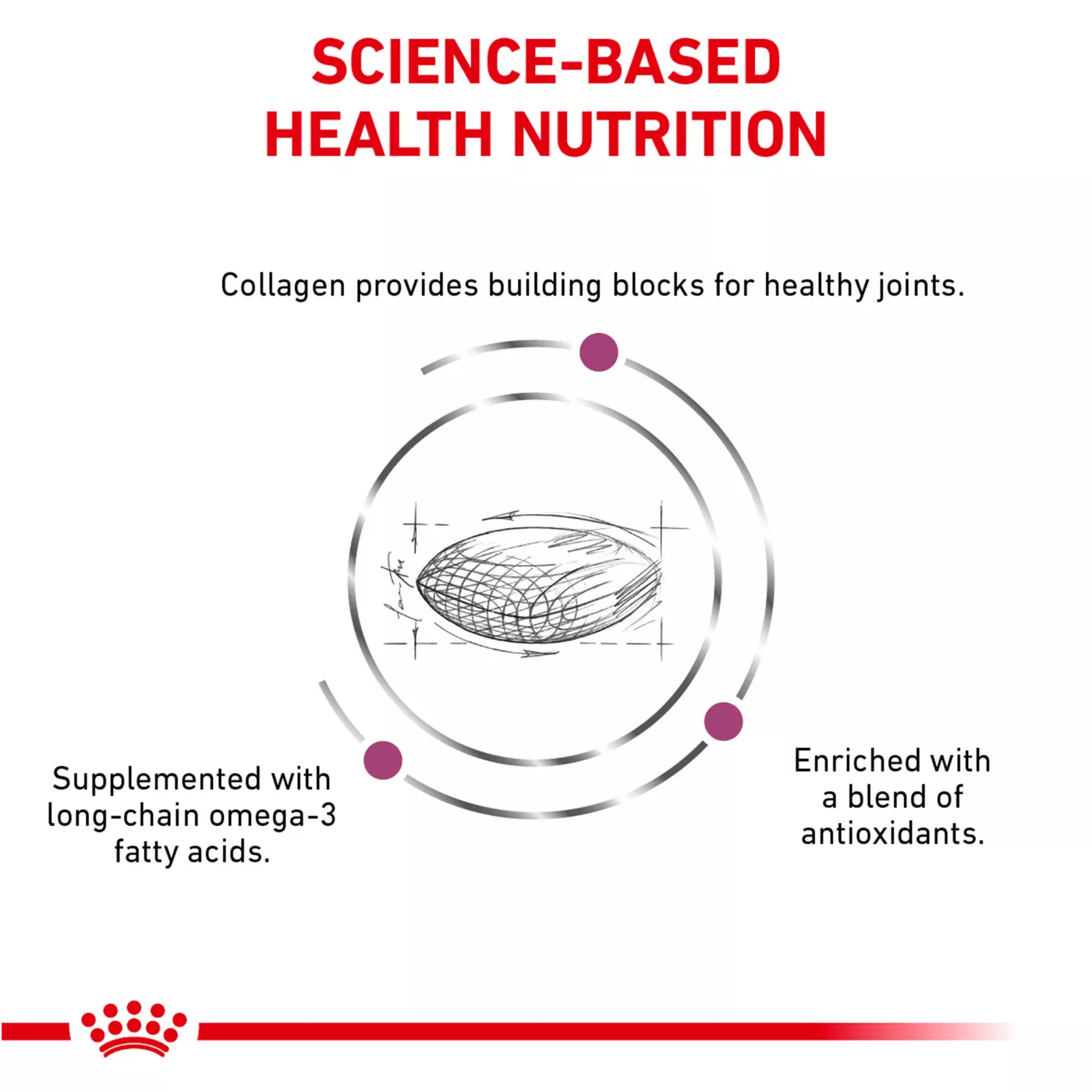 Royal Canin® Veterinary Diet Canine Advanced Mobility Support Adult Dry ...