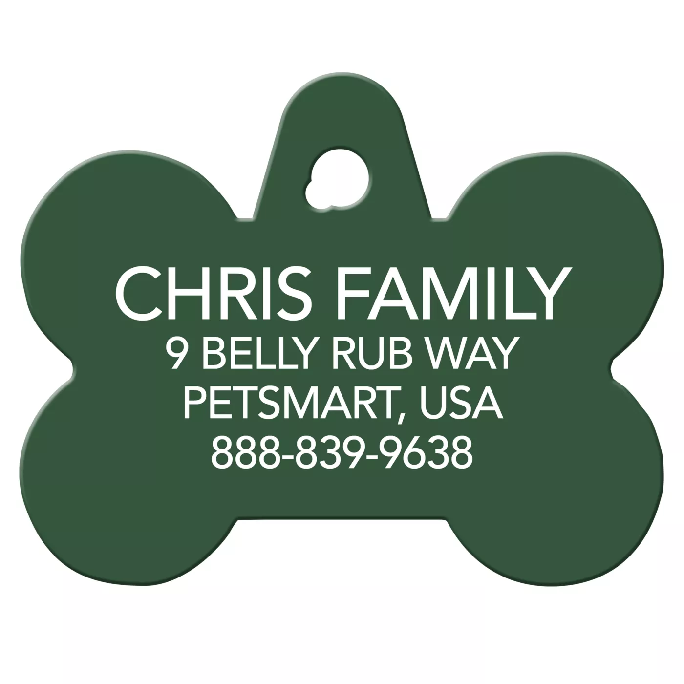 TagWorks® Green Forest Bone Pet ID Tag