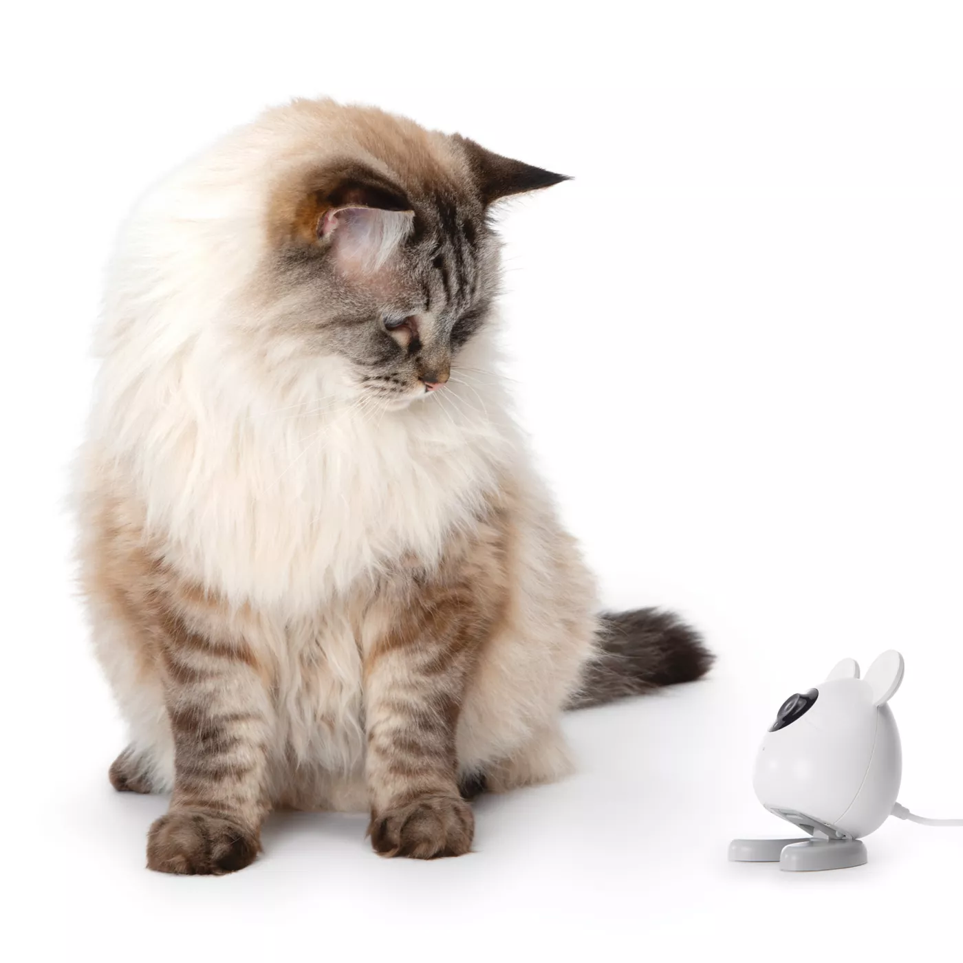 Catit PIXI Smart Mouse Camera