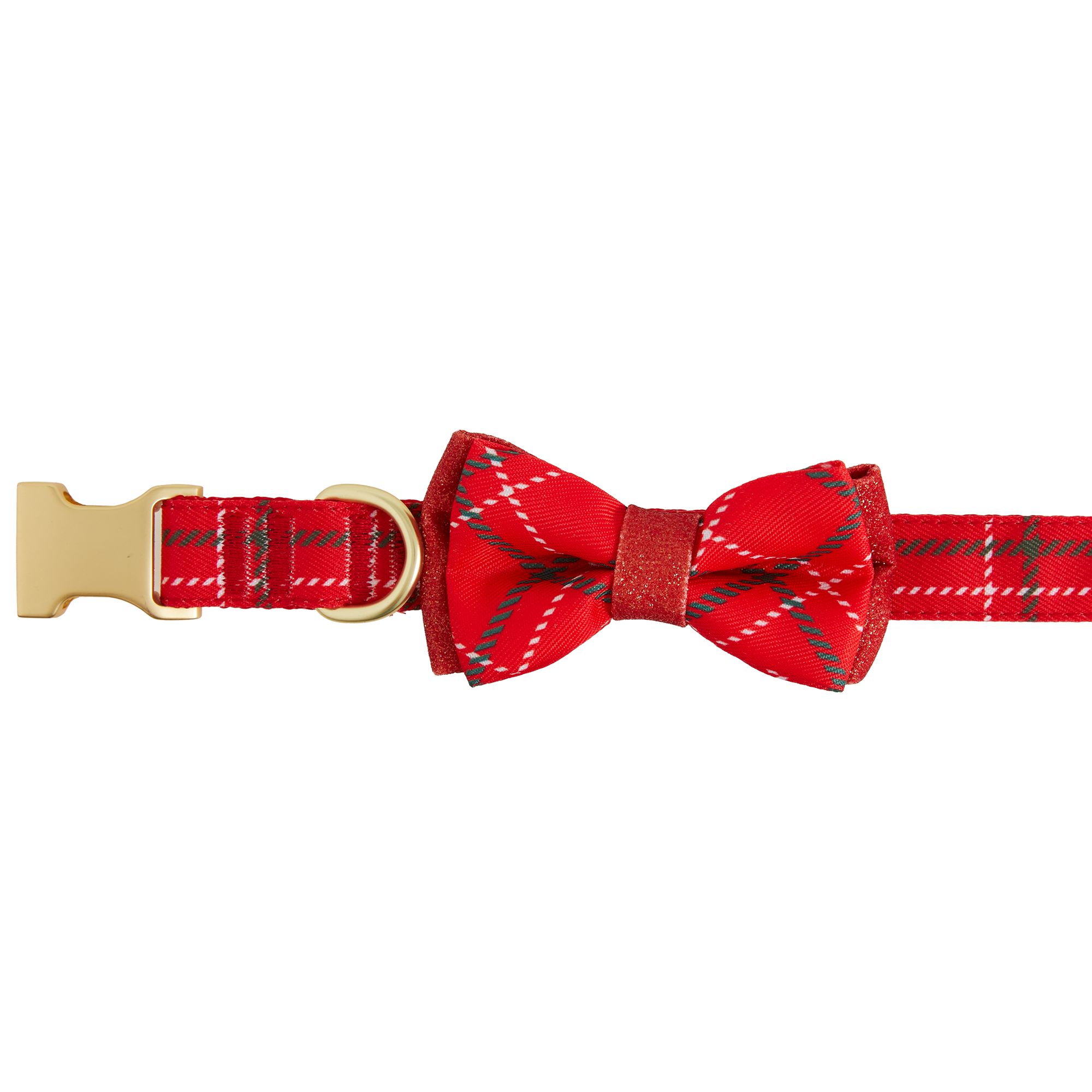 Dog Collars | PetSmart