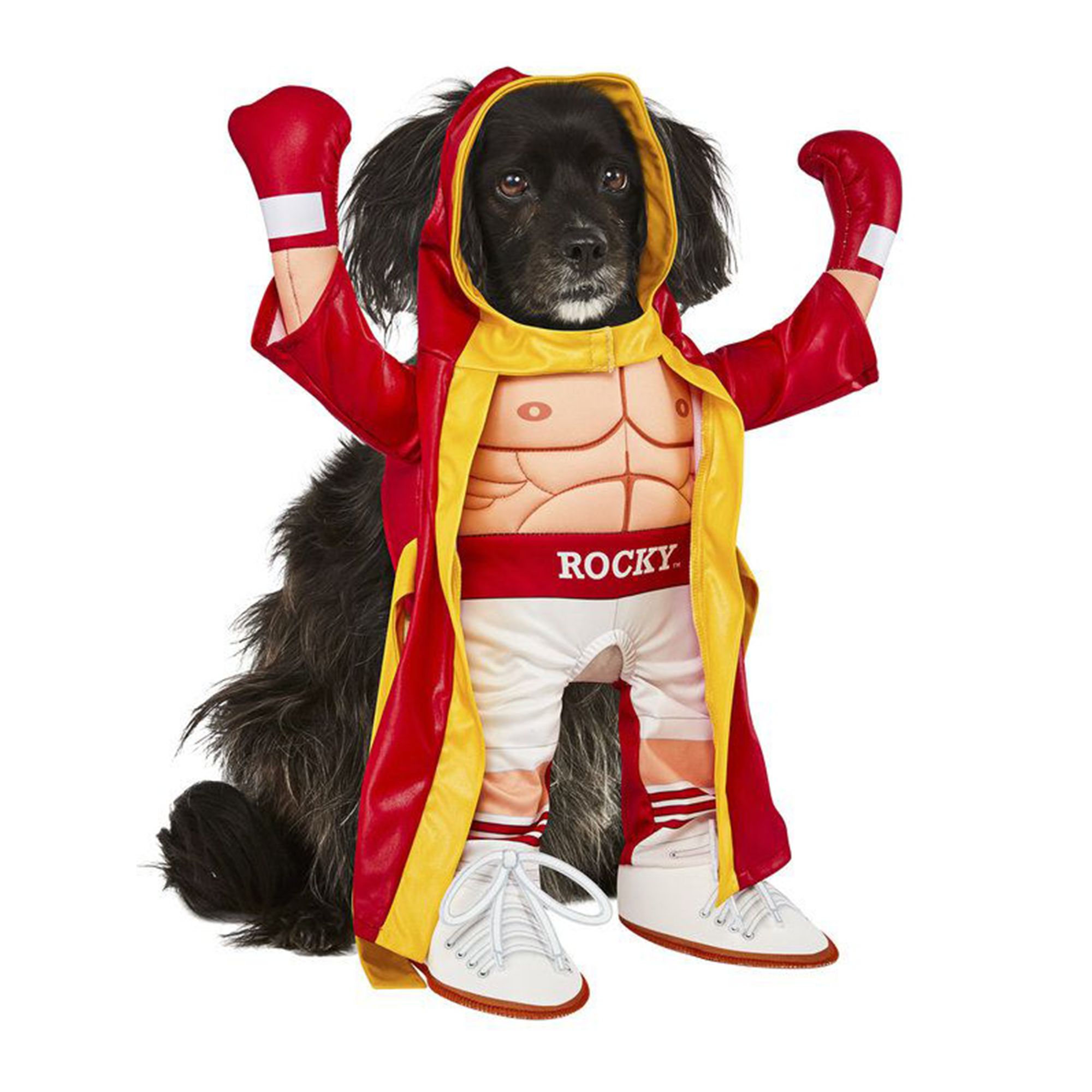 Rubie's Pet Shop Halloween Rocky Dog & Cat Costume