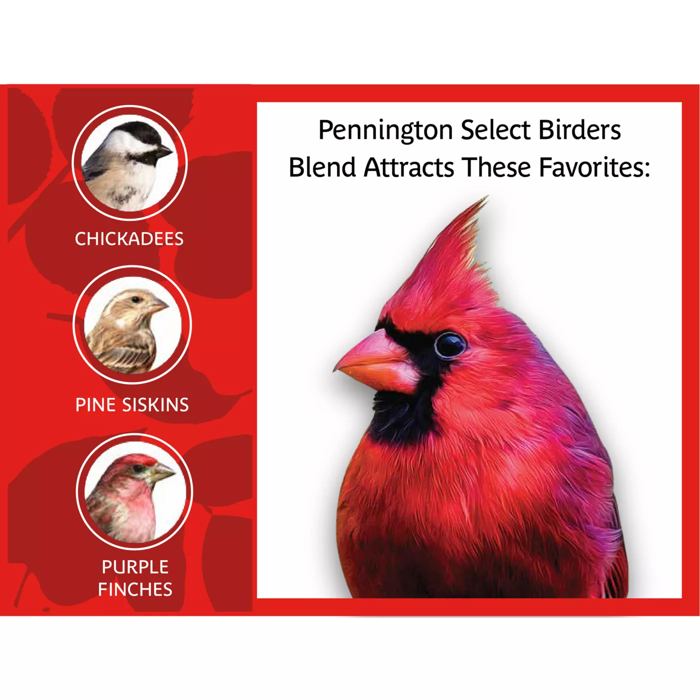 Pennington® Select Birder's Blend Bird Seed