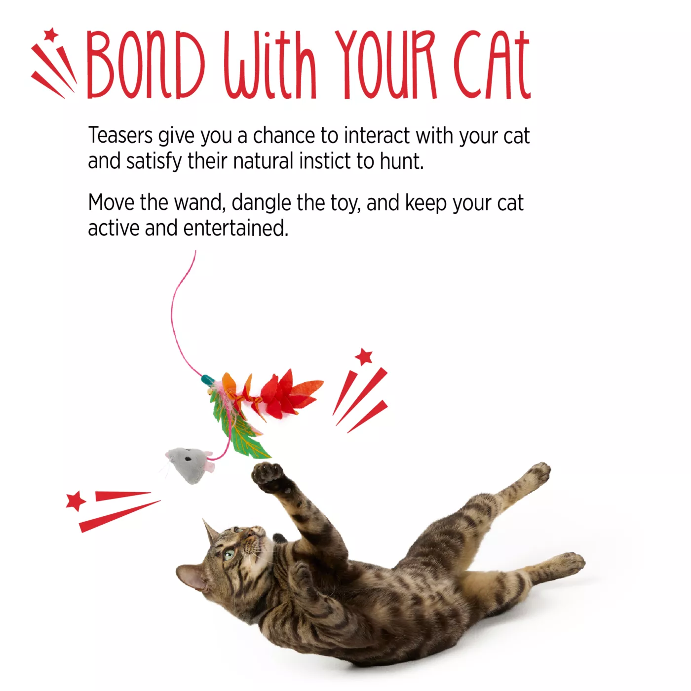 Whisker City® Chirping Mouse Teaser Attachment Cat Toy (Teaser Wand ...