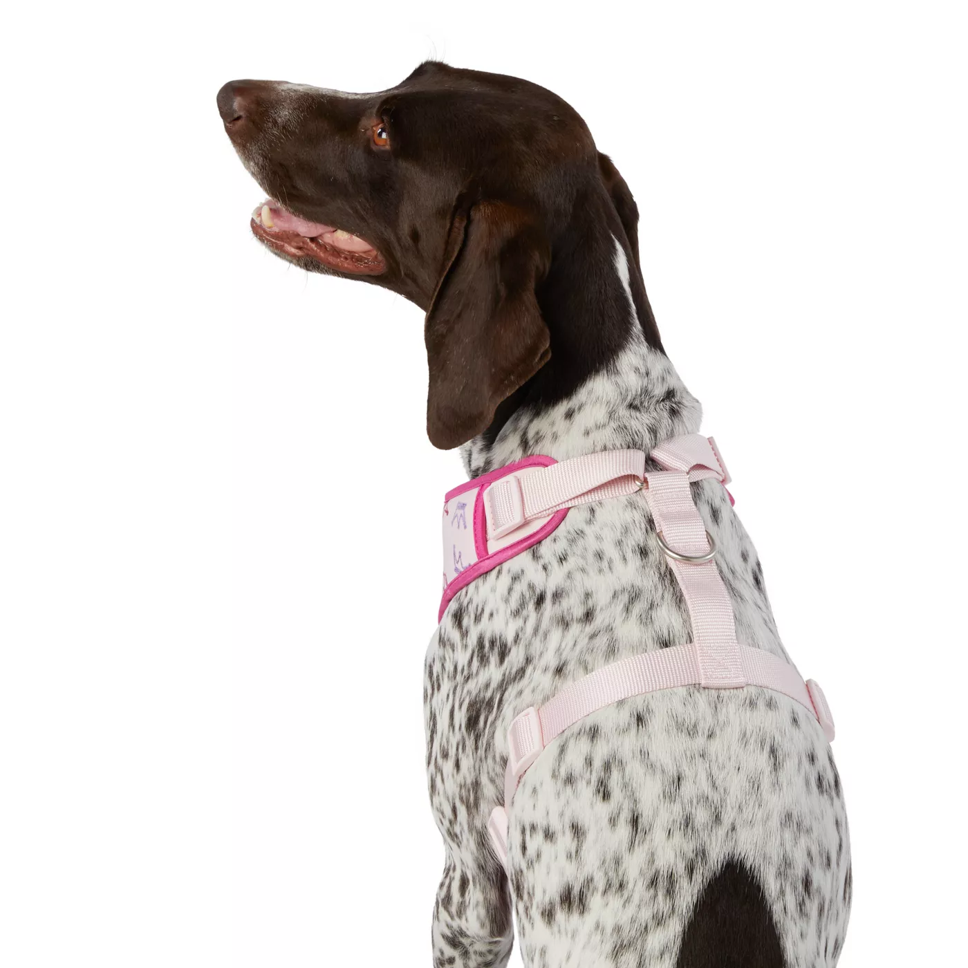 Top Paw® Princess Dog Harness