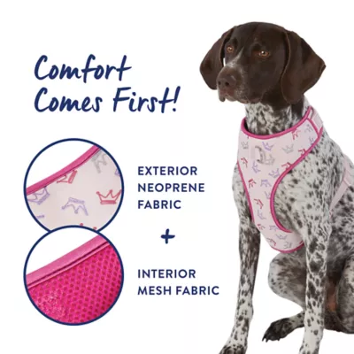 Top Paw® Princess Dog Harness
