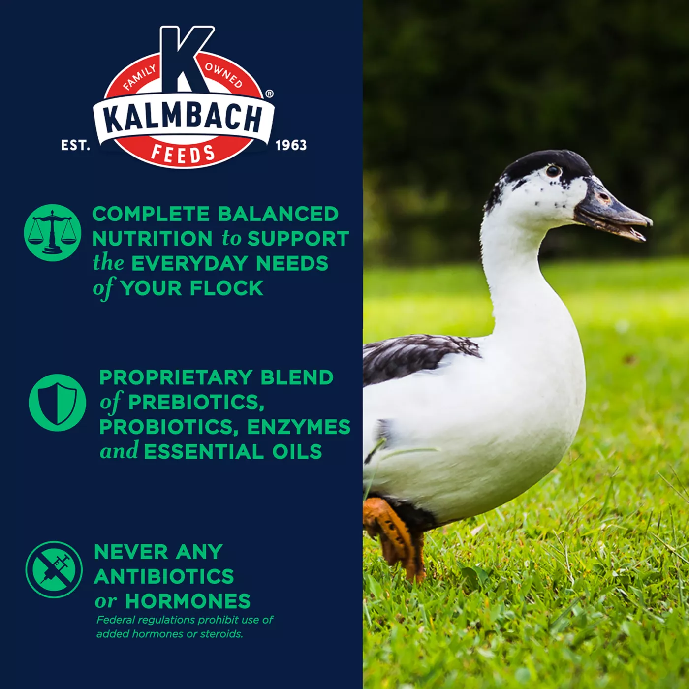 Kalmbach Feeds® Flock Maintainer® Pellet