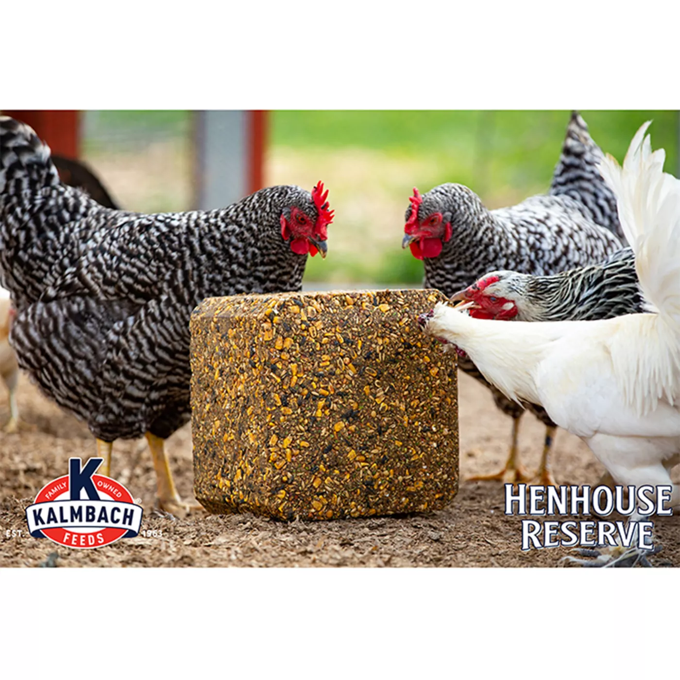 Kalmbach Feeds® Henhouse Reserve® Poultry Block Supplement