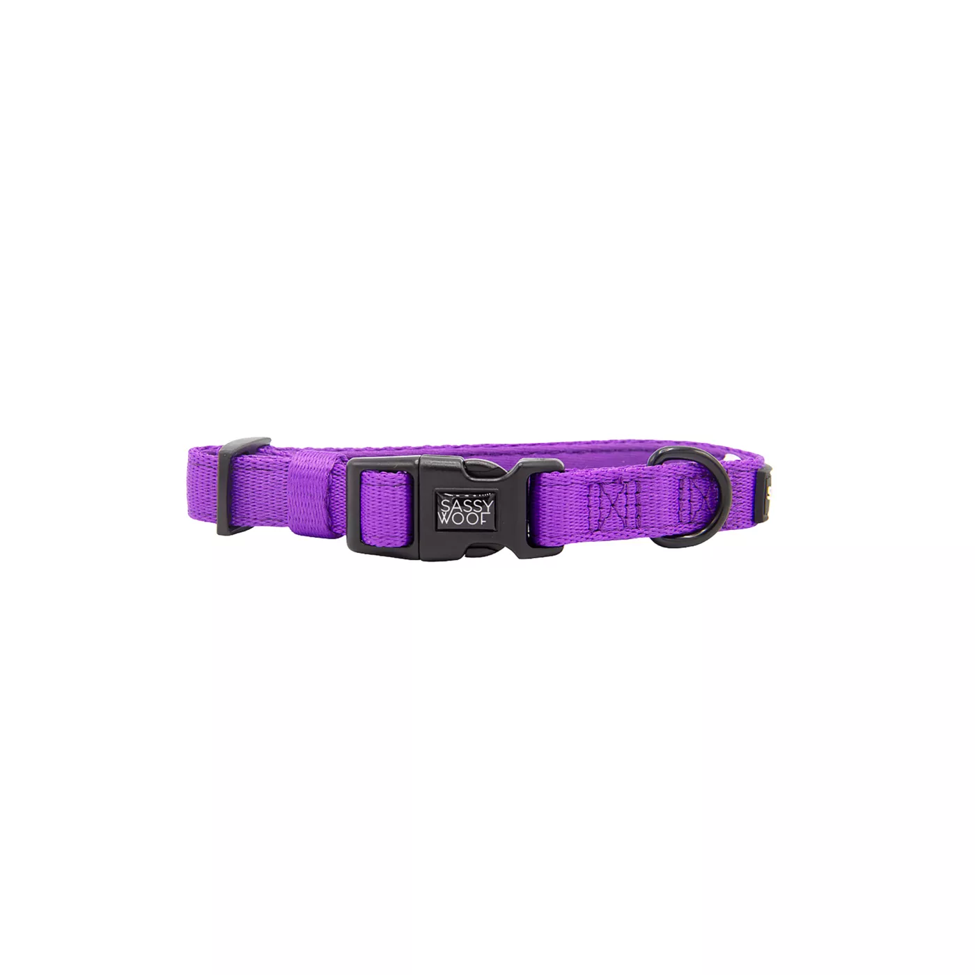 Sassy Woof Neon Purple Dog Collar
