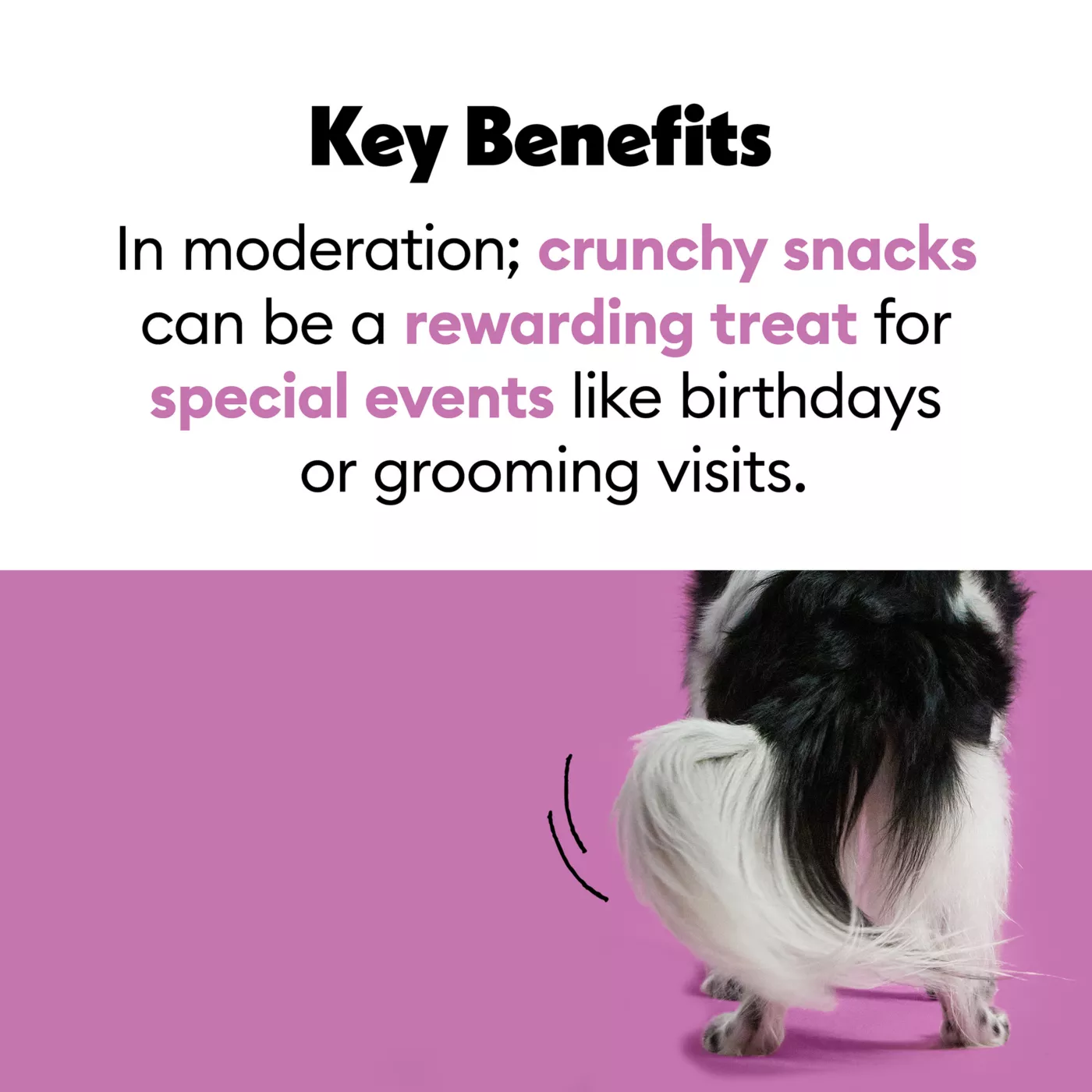 Wiggles & Wags Chicken & Rice Protein Balls Dog Treats 6 OZ