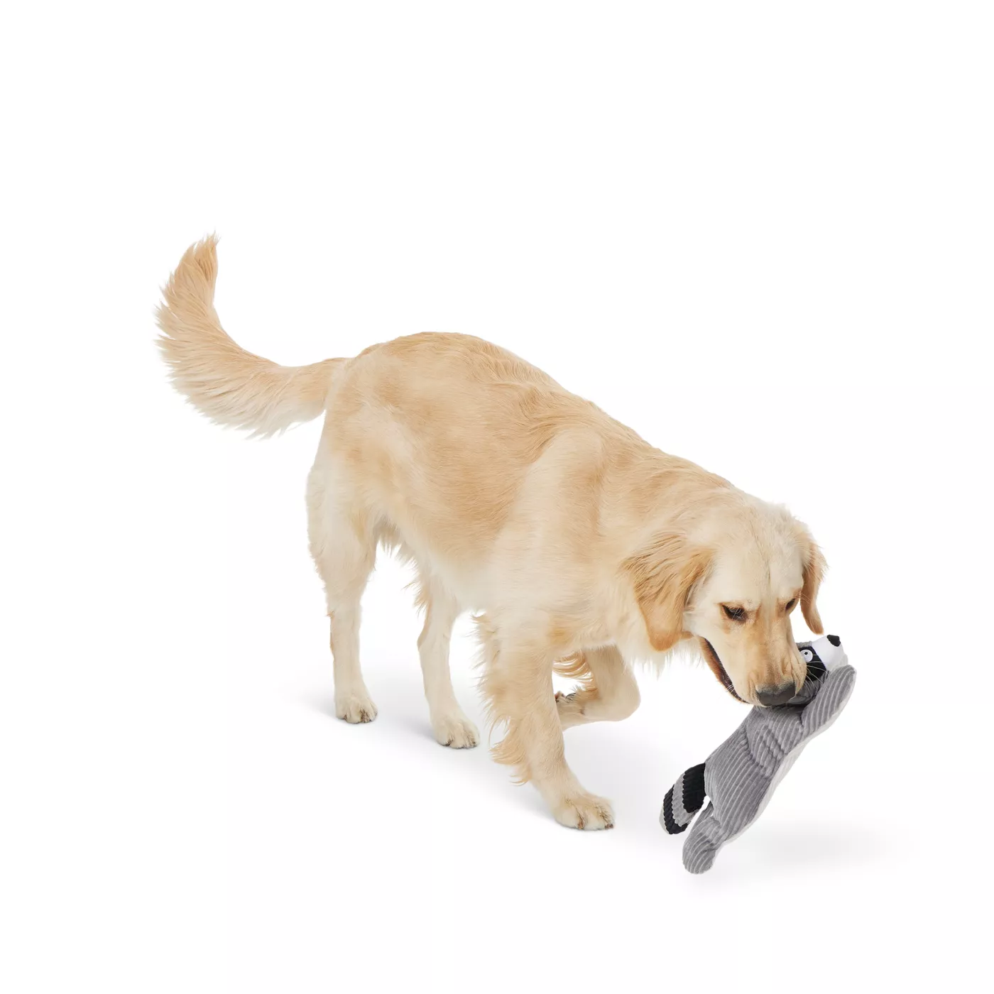 Joyhound Biteshield Plush Raccoon Squeaky Dog Toy