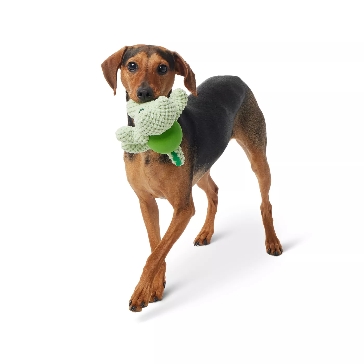 Joyhound Belly Plush Gator Squeaky Dog Toy