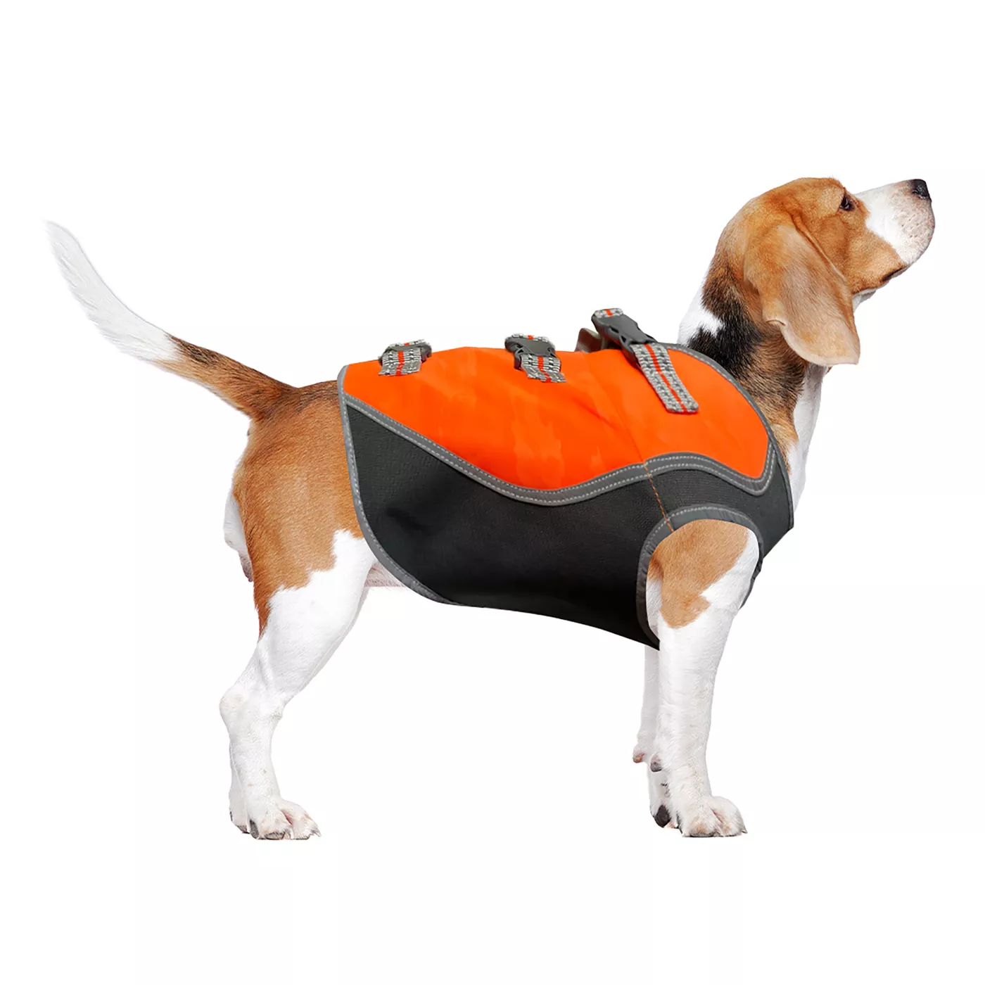KONG® Hunter Safety Hunting Dog Vest