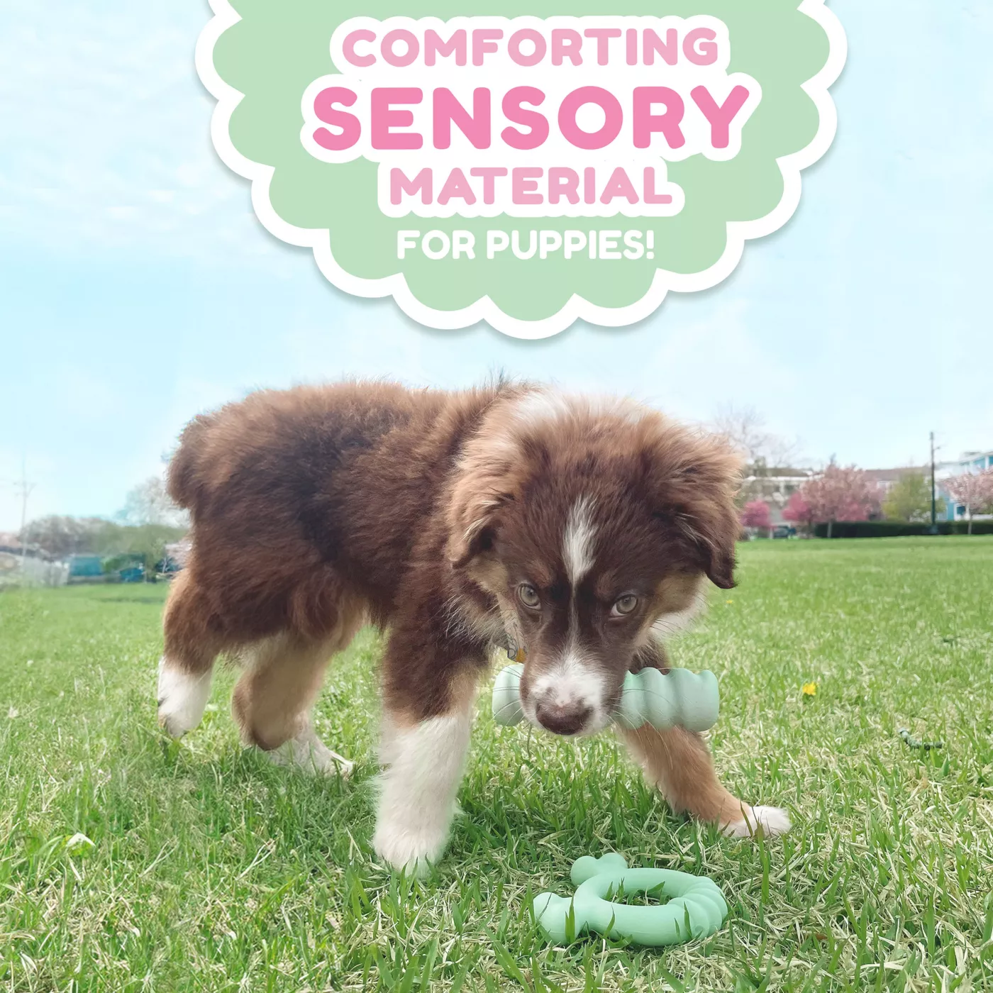 Nylabone® Sensory Material Puppy Teething Stick