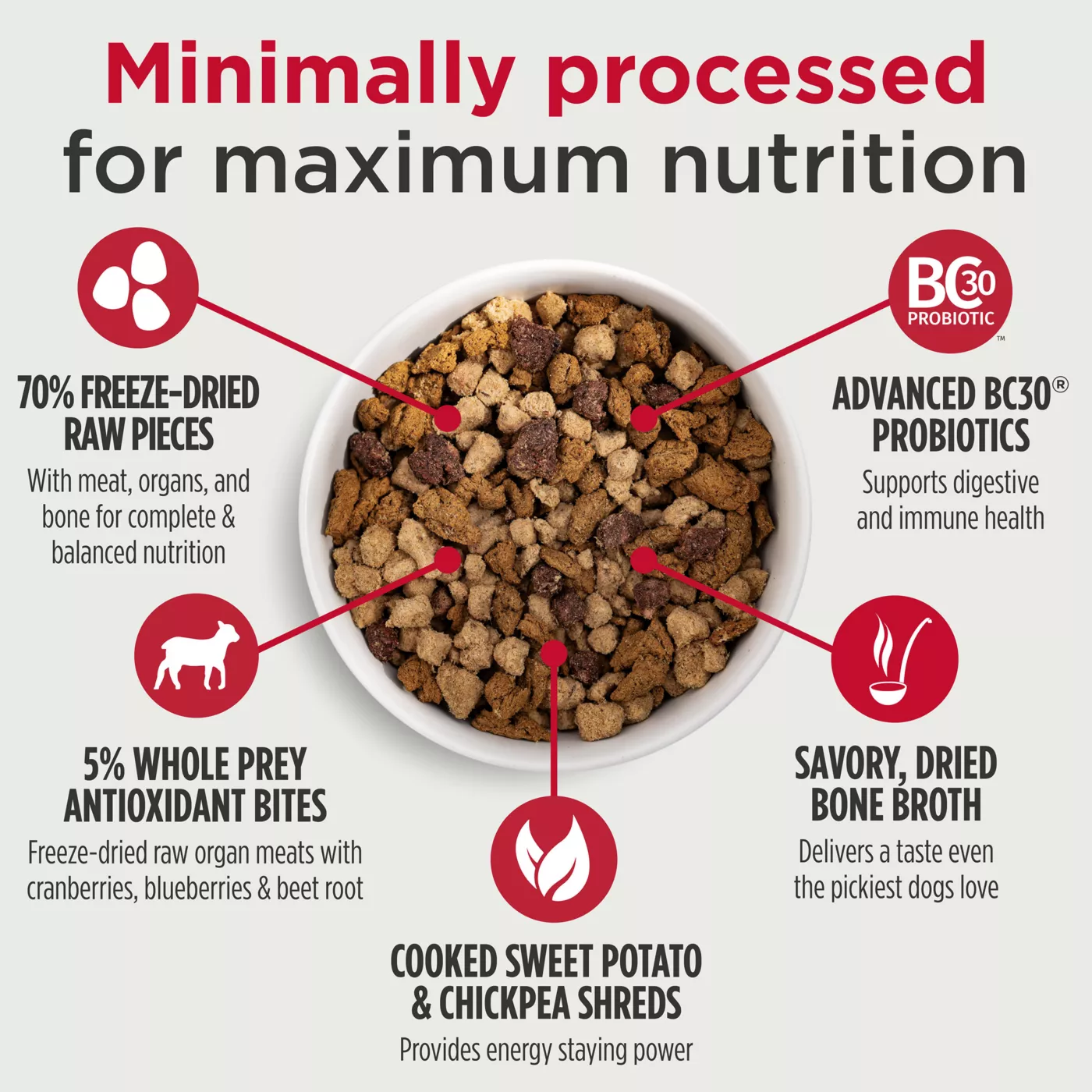 Nulo Raw+ Adult Dog Food - Freeze Dried, Grain Free, Lamb Recipe