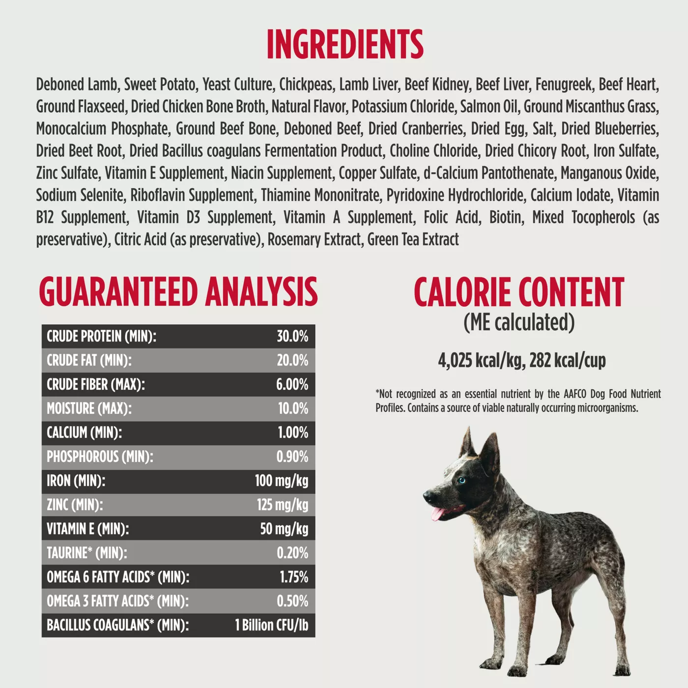 Nulo Raw+ Adult Dog Food - Freeze Dried, Grain Free, Lamb Recipe