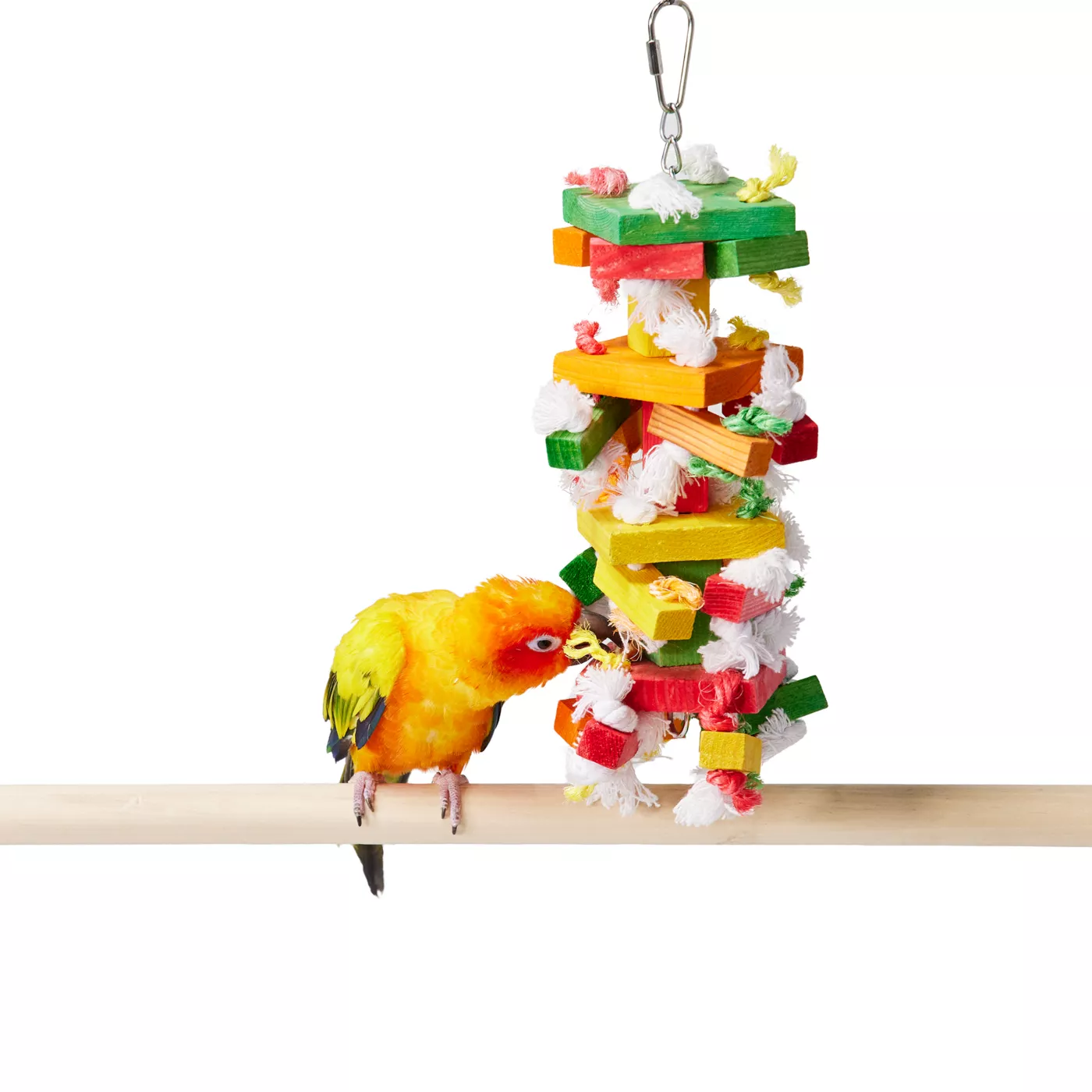 All Living Things® Knots & Blocks Bird Toy