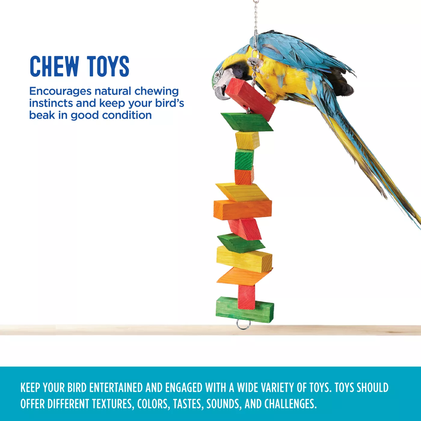 All Living Things® Zig Zag Bird Toy
