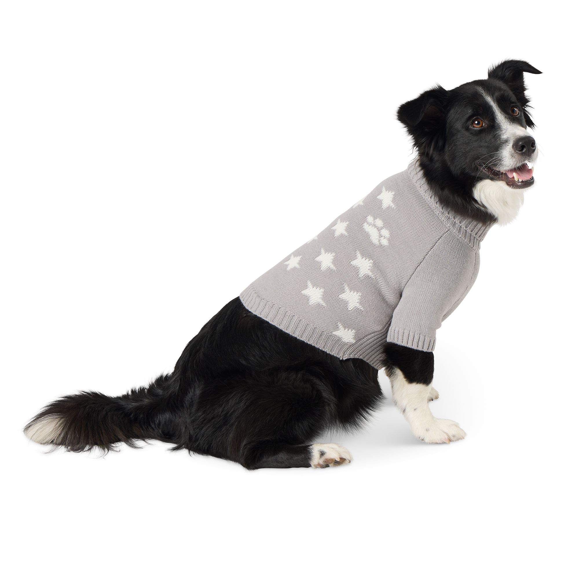 Dog Clothes, Shoes, Apparel & Accessories | PetSmart