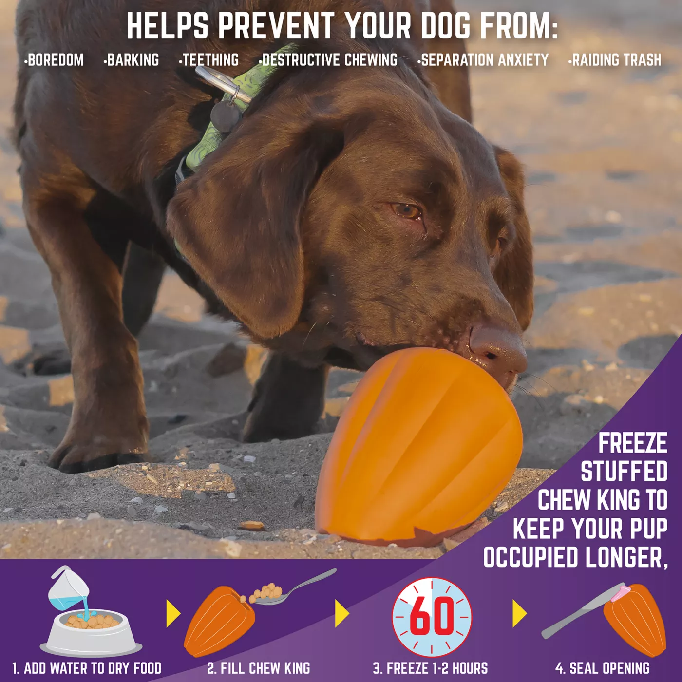 Chew King Premium Treater Bacon Flavored XL Dog Chew Toy