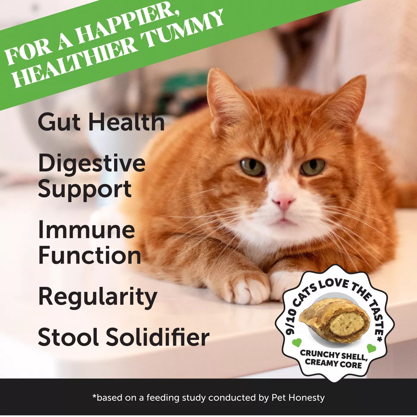 Pet Honesty Probiotics Gut + Immune Health Chews Supplement for Cats 3.7 oz