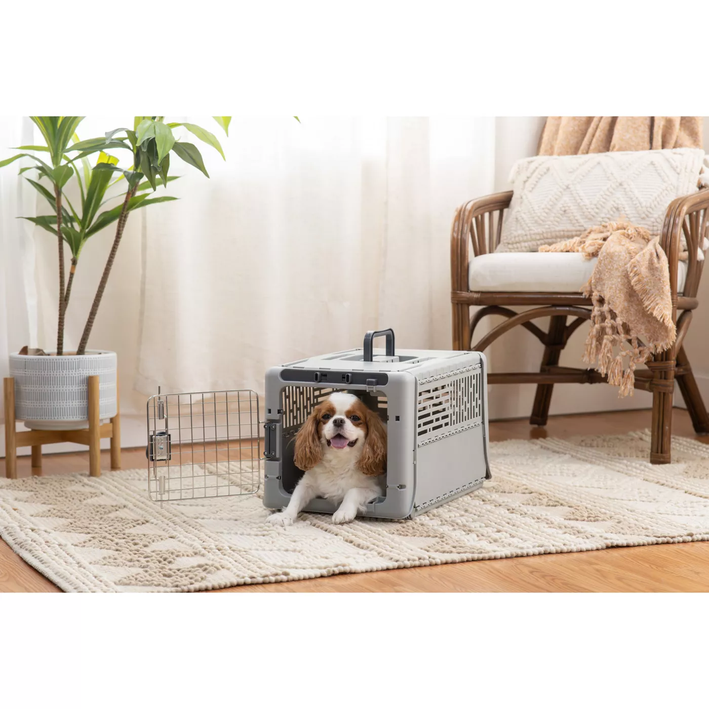 Sport Pet 19in Collapsible Kennel for Dogs and Cats