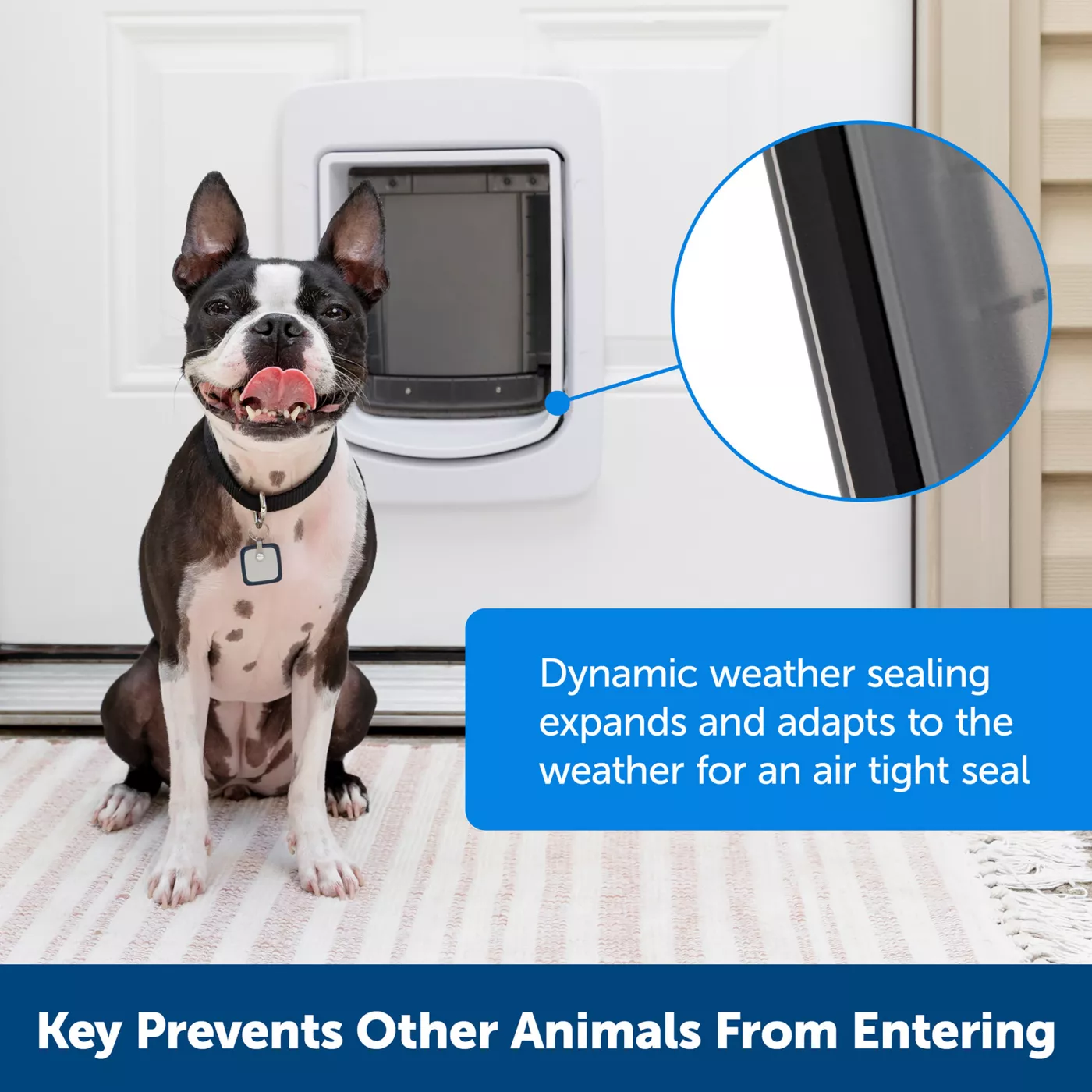 PetSafe SmartDoor Connected Pet Door