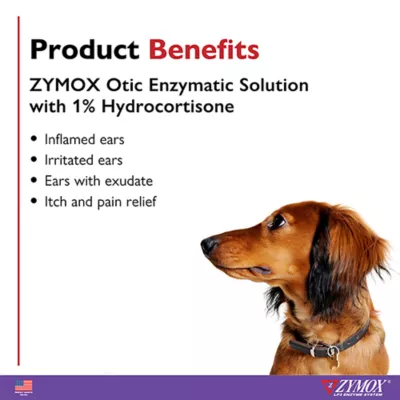 Zymox Otic Dog & Cat Ear Infection Treatment with Hydrocortisone, 1.25 ...