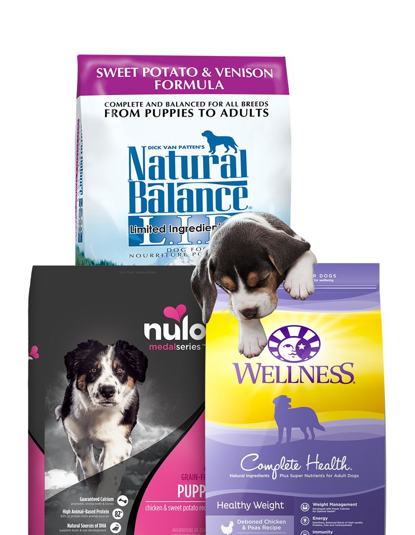 Dog Supplies: Dog Products & Accessories | PetSmart