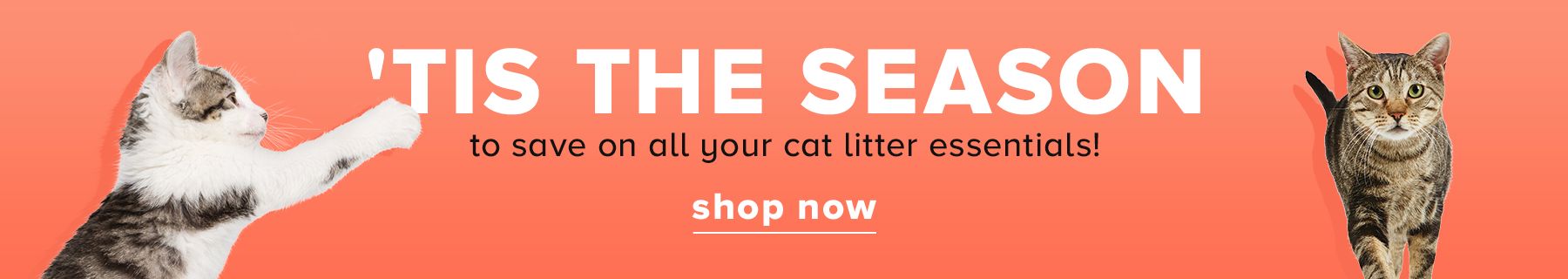 Cat Supplies: Kitten Accessories & Products | PetSmart
