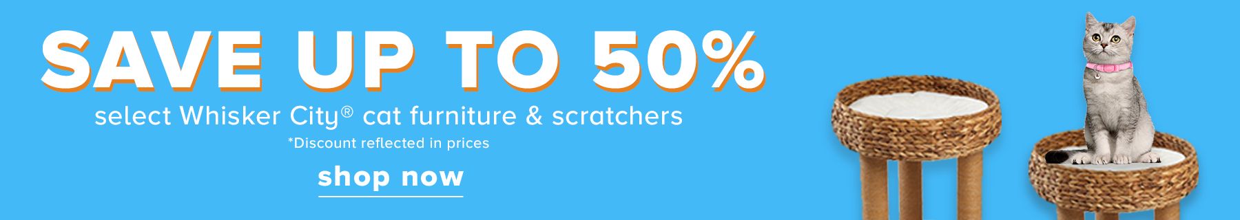 Cat Supplies: Kitten Accessories & Products | PetSmart