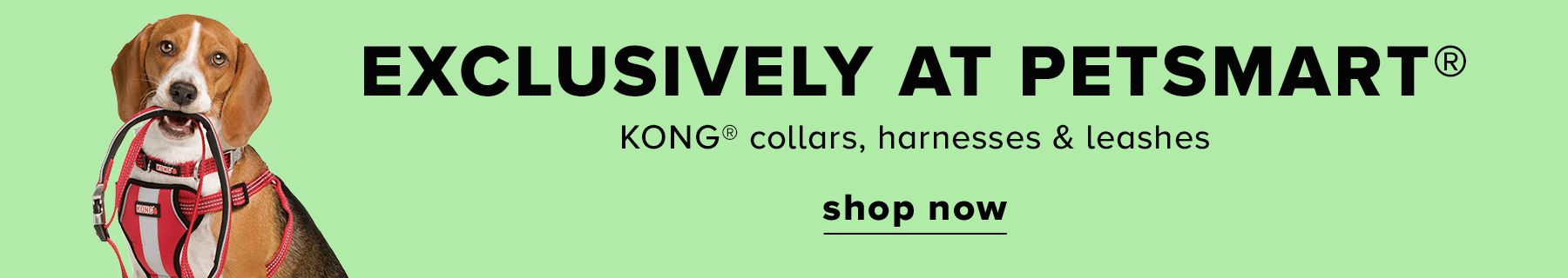 Dog Supplies: Dog & Puppy Products | PetSmart