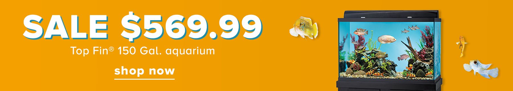 Fish Supplies: Aquarium Supplies & Accessories | PetSmart