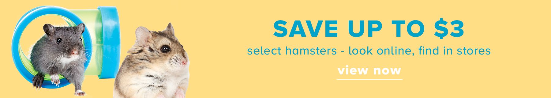 Small Pet Supplies for Rabbits, Ferrets & Others | PetSmart