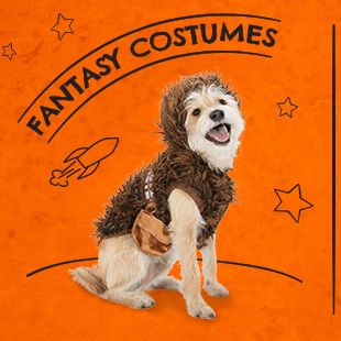 Halloween Pets: Costumes, Toys, Treats & More at PetSmart