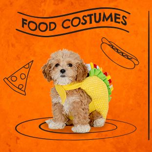 Halloween Pets: Costumes, Toys, Treats & More at PetSmart