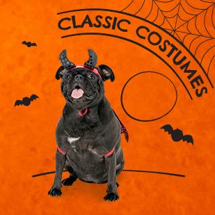 Halloween Pets: Costumes, Toys, Treats & More at PetSmart
