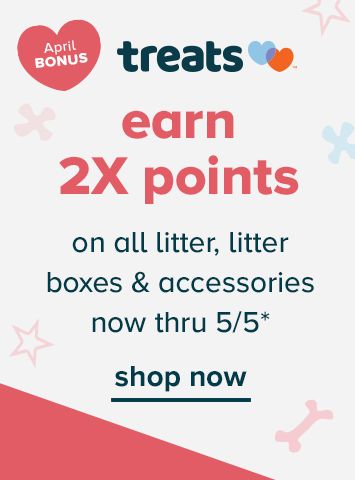 Kitty Litter: Best Cat Litter Brands | PetSmart