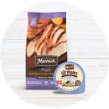 Merrick Dog Food, Cat Food, Pet Treats & More | PetSmart Canada