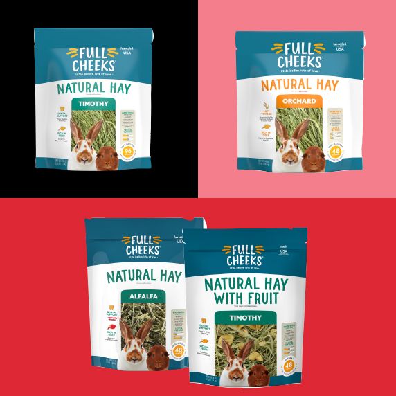 Pet Supplies, Accessories, and Pet Food - Pet Stores | PetSmart