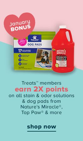 Dog Diapers, Puppy Pads & Potty Training | PetSmart