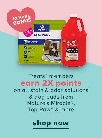 Dog Diapers, Puppy Pads & Potty Training | PetSmart