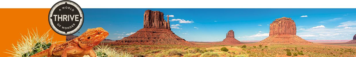 Thrive Reptile Habitats: Terrariums, Starter Kits & more | PetSmart