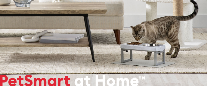 Cat Home Décor: Stylish Food Bowls & Cute Accessories | PetSmart