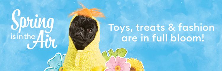 Springtime 2022 Pet Supplies | PetSmart Canada