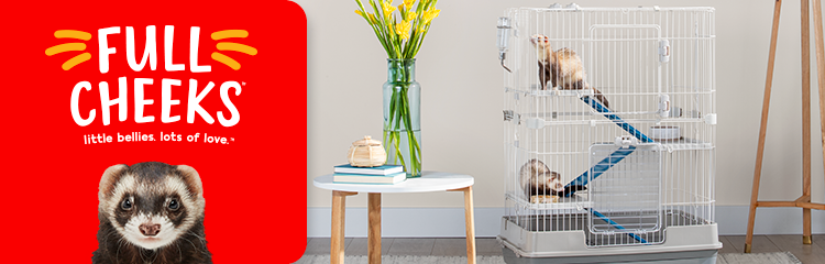 Ferret Supplies & Products for Your Ferret | PetSmart