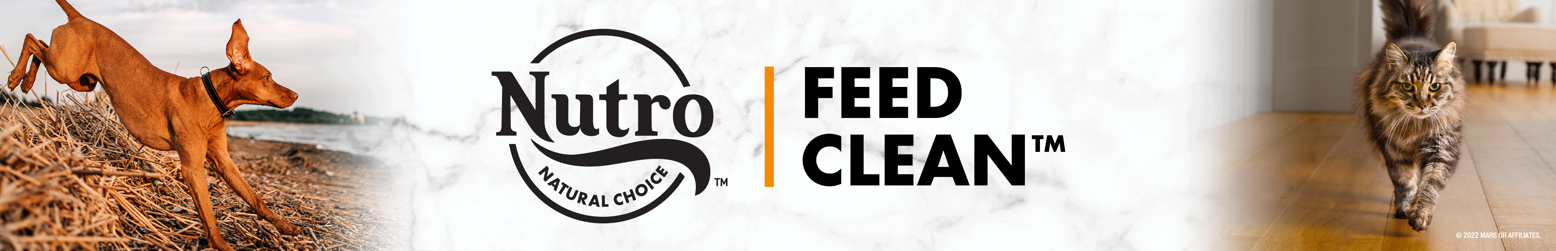 Nutro® Dog Food & Treats | PetSmart